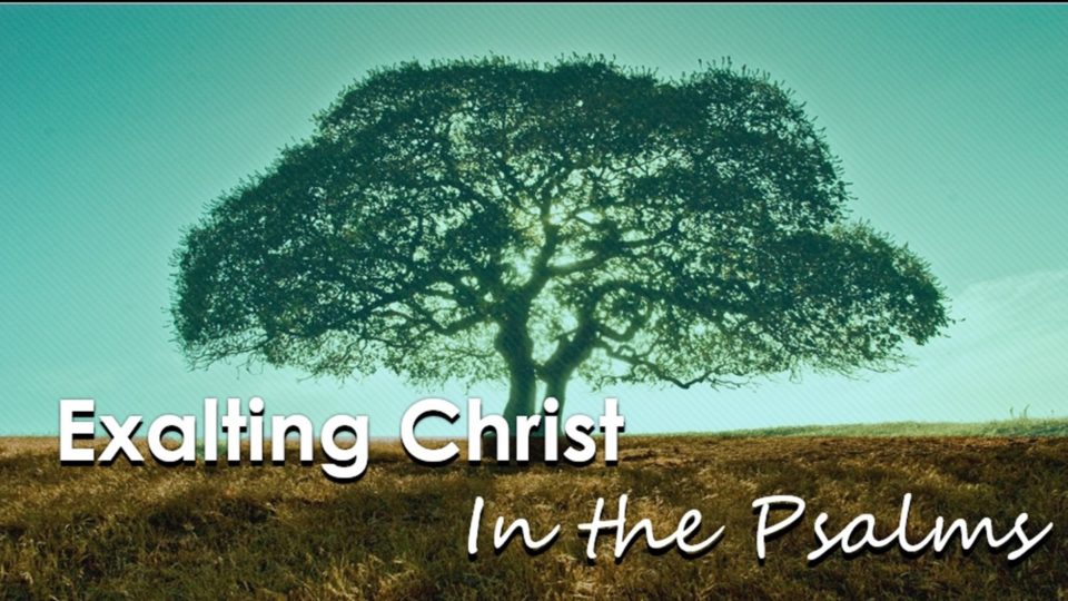 Exalting Christ in the Psalms – Main Street Baptist Church